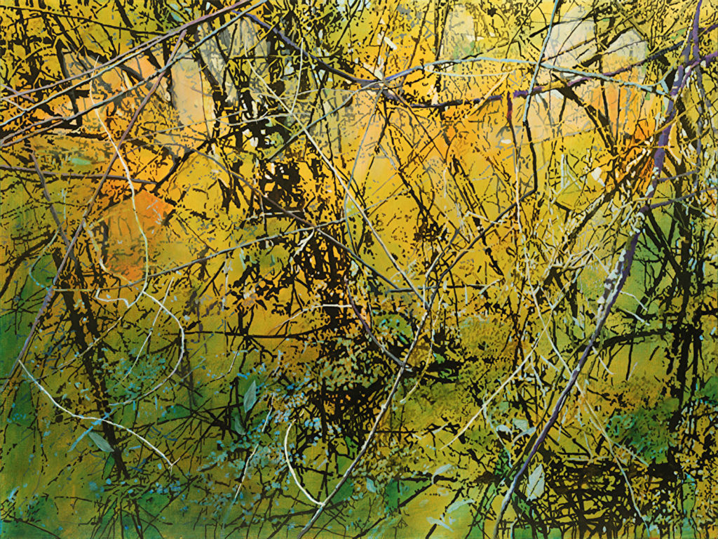 Sandy Kay – Coast Cultural Alliance (CCA)