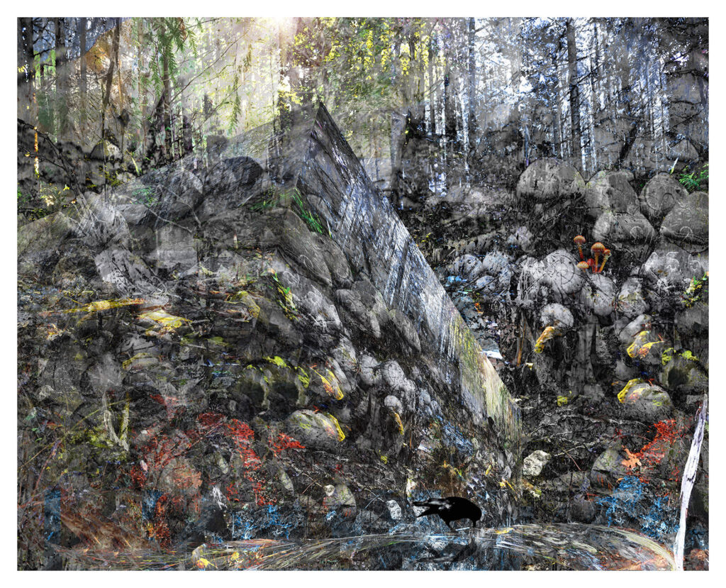 Susan Harman Art | Coast Cultural Alliance (CCA)